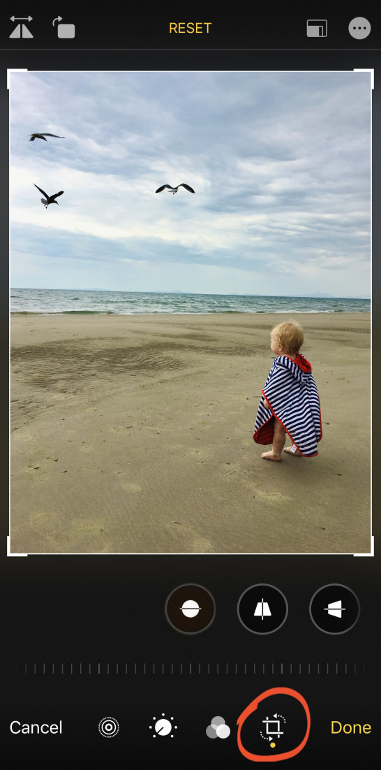 How To Use Live Photos To Create Amazing Moving Images On iPhone