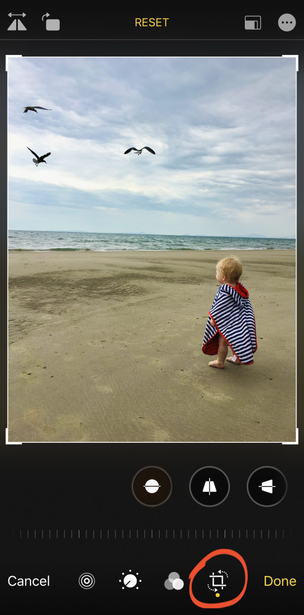 How To Use Live Photos To Create Amazing Moving Images On iPhone