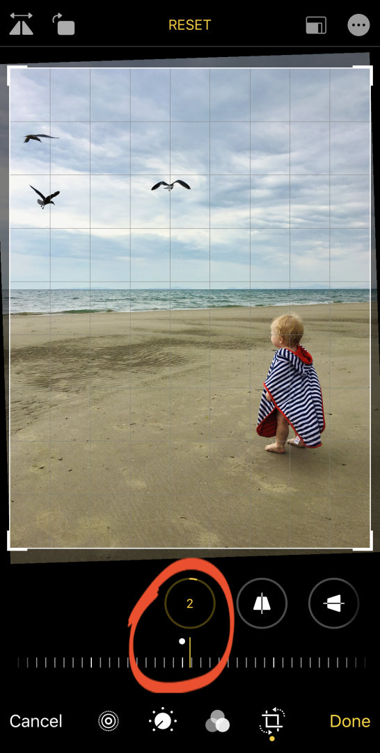 How To Use Live Photos To Create Amazing Moving Images On iPhone