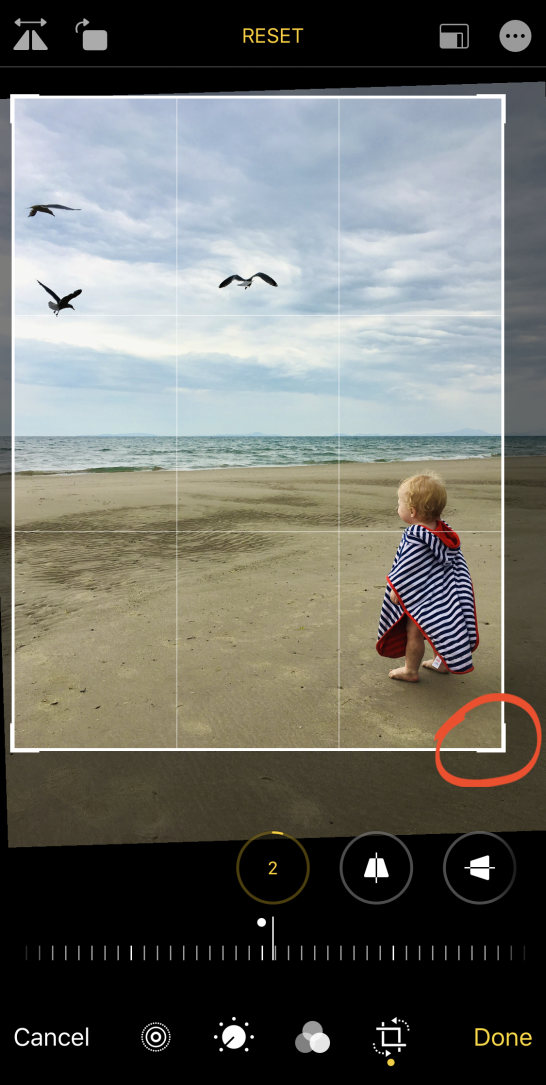 How To Use Live Photos To Create Amazing Moving Images On iPhone
