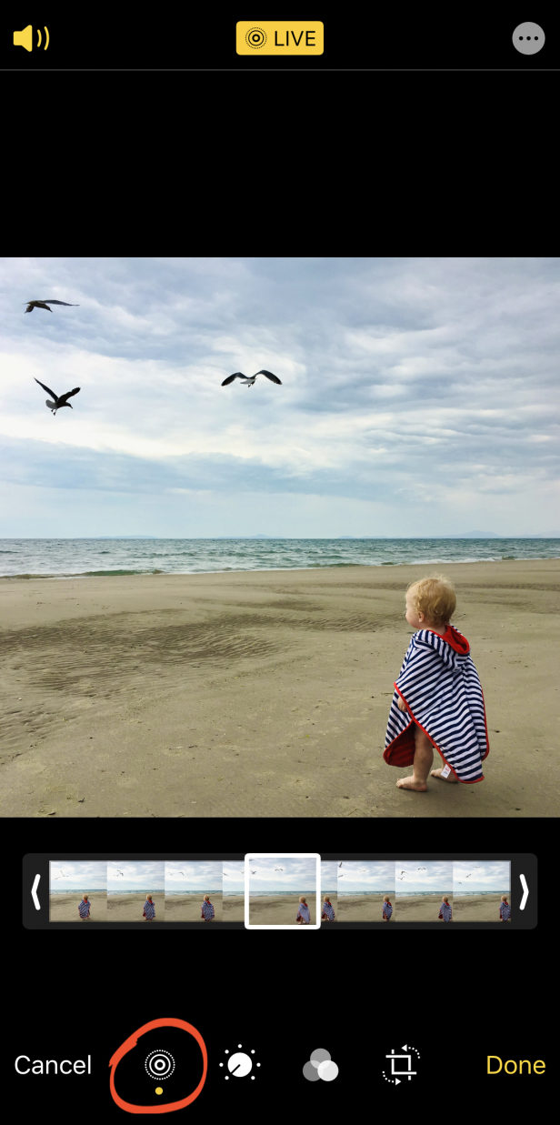 How To Use Live Photos To Create Amazing Moving Images On iPhone