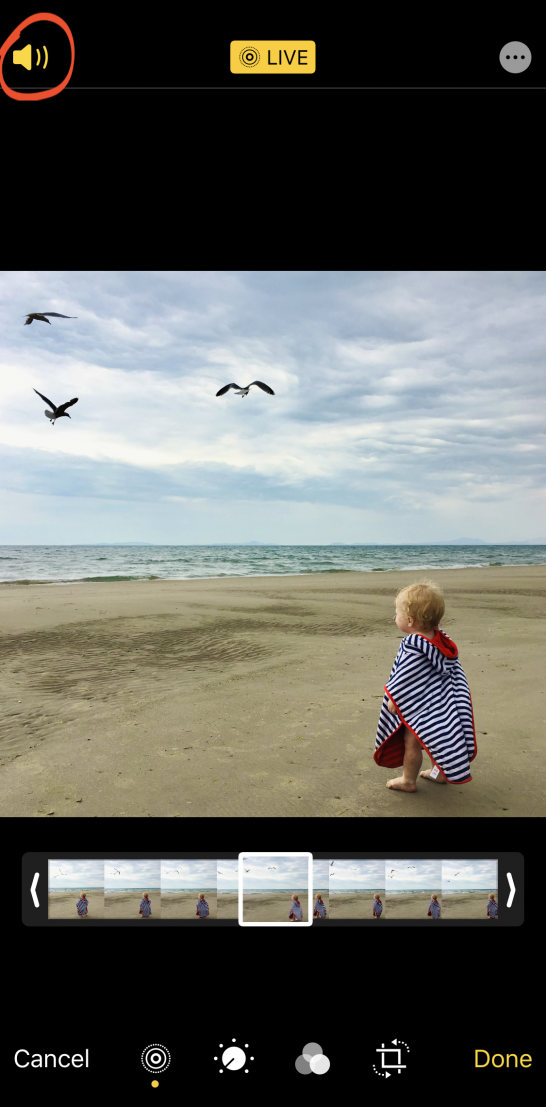 How To Use Live Photos To Create Amazing Moving Images On iPhone