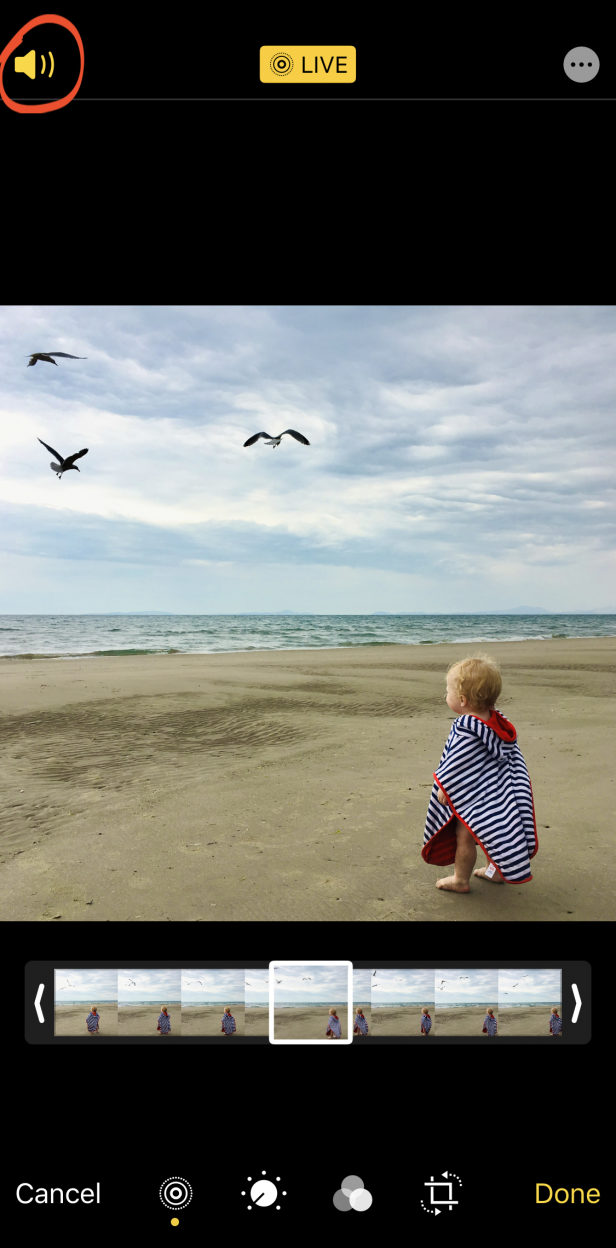 How To Use Live Photos To Create Amazing Moving Images On iPhone