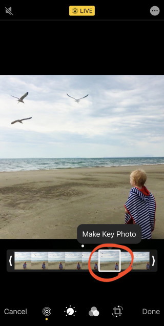 How To Use Live Photos To Create Amazing Moving Images On iPhone