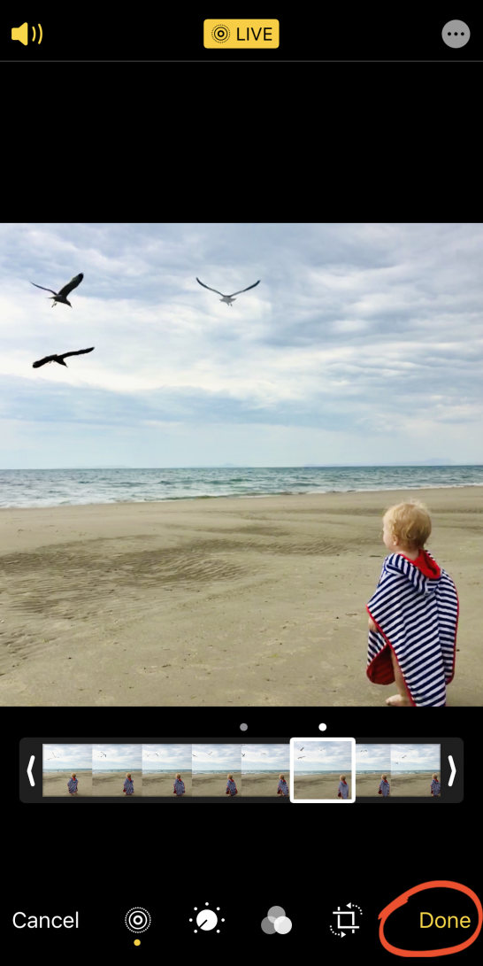 How To Use Live Photos To Create Amazing Moving Images On iPhone