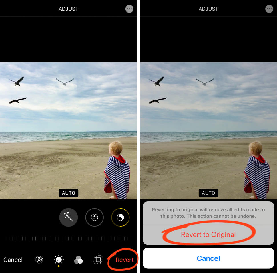 How To Use Live Photos To Create Amazing Moving Images On iPhone