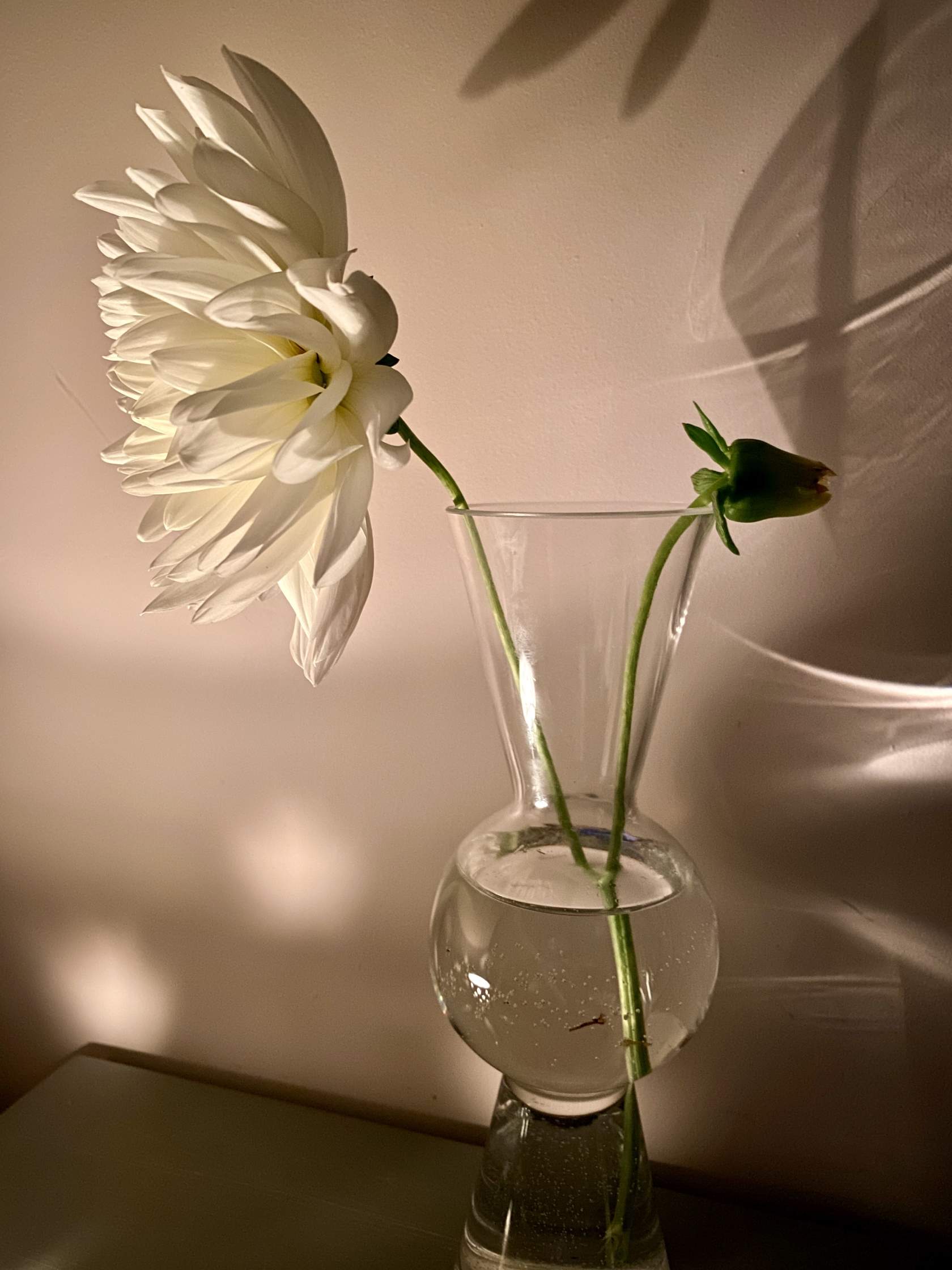 10 Essential Tips For Amazing iPhone Night Photography