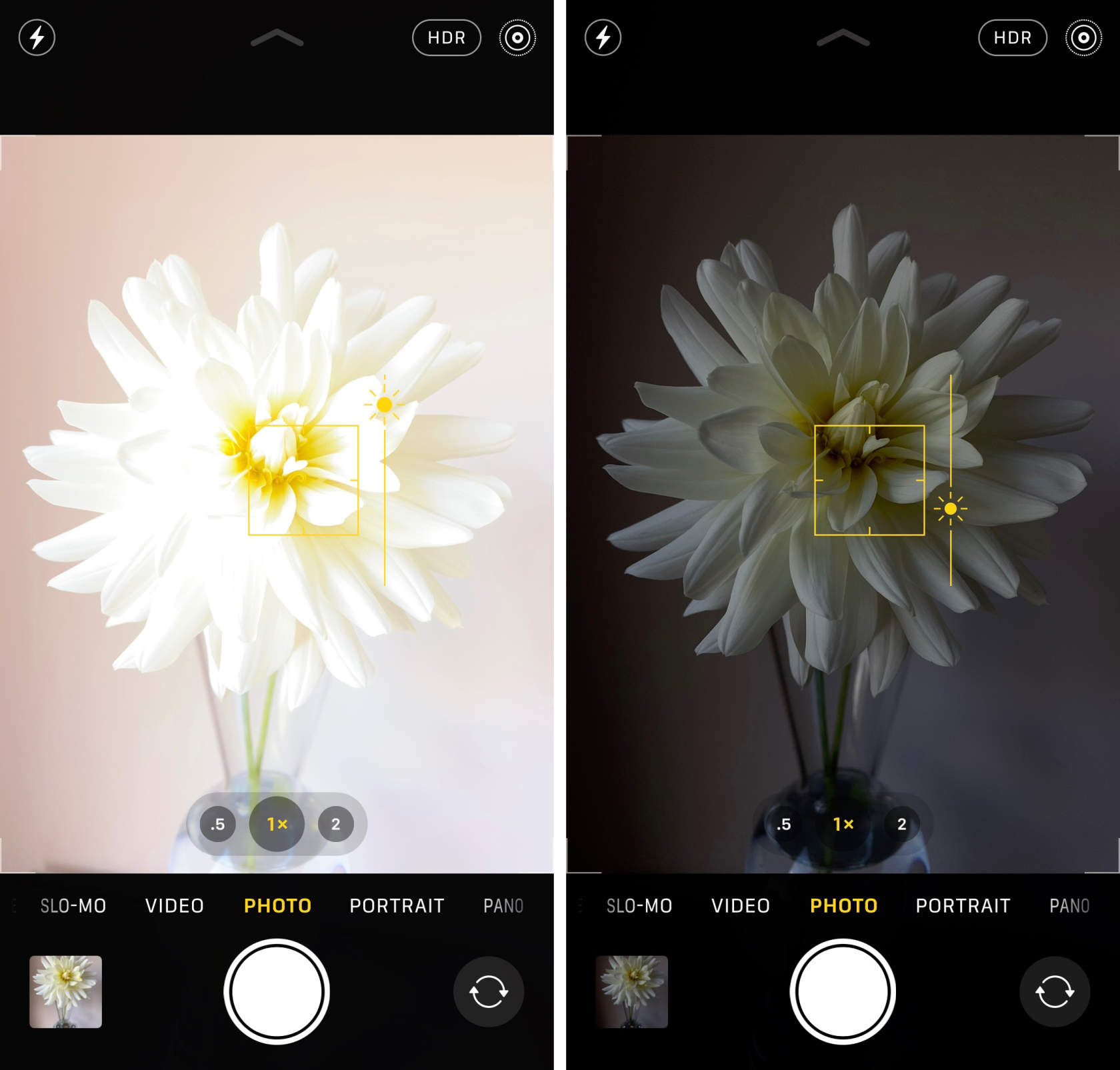 10 iPhone Camera Settings Every Photographer Should Use