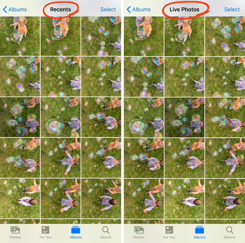 How To Use iPhone Photo Albums To Organize Photos