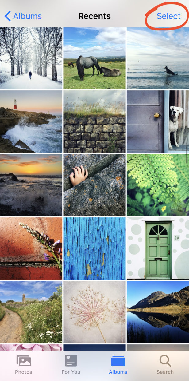 How To Use iPhone Photo Albums To Organize Photos