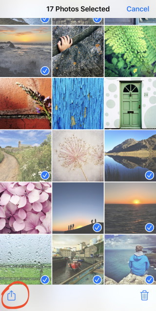 How To Use iPhone Photo Albums To Organize Photos