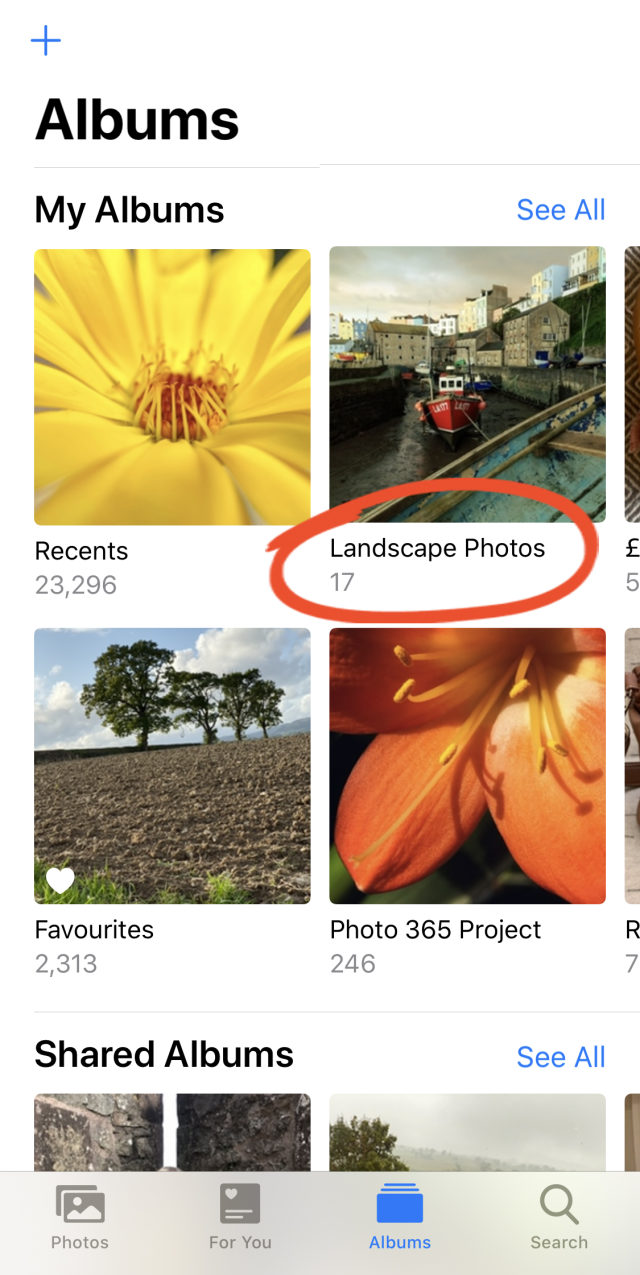 How To Use iPhone Photo Albums To Organize Photos
