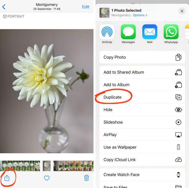 How To Edit Photos On iPhone Using The Built-In Photos App
