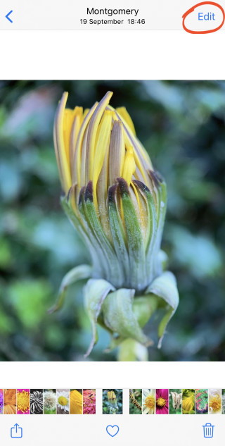 How To Edit Photos On iPhone Using The Built-In Photos App