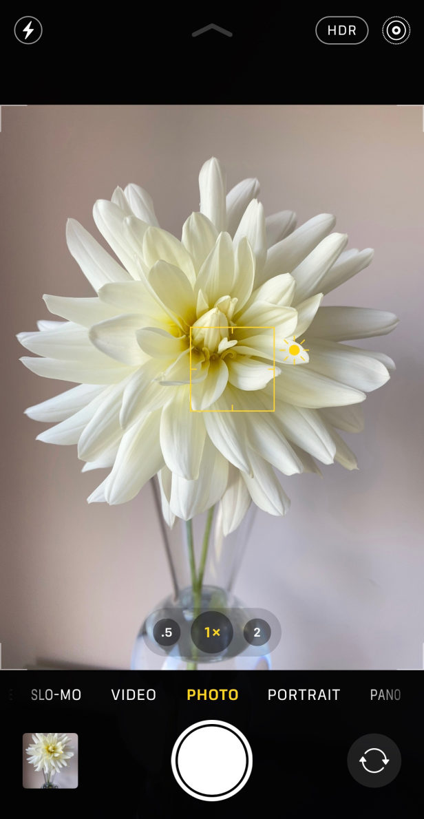 12 Mobile Photography Tips Every Photographer Should Know