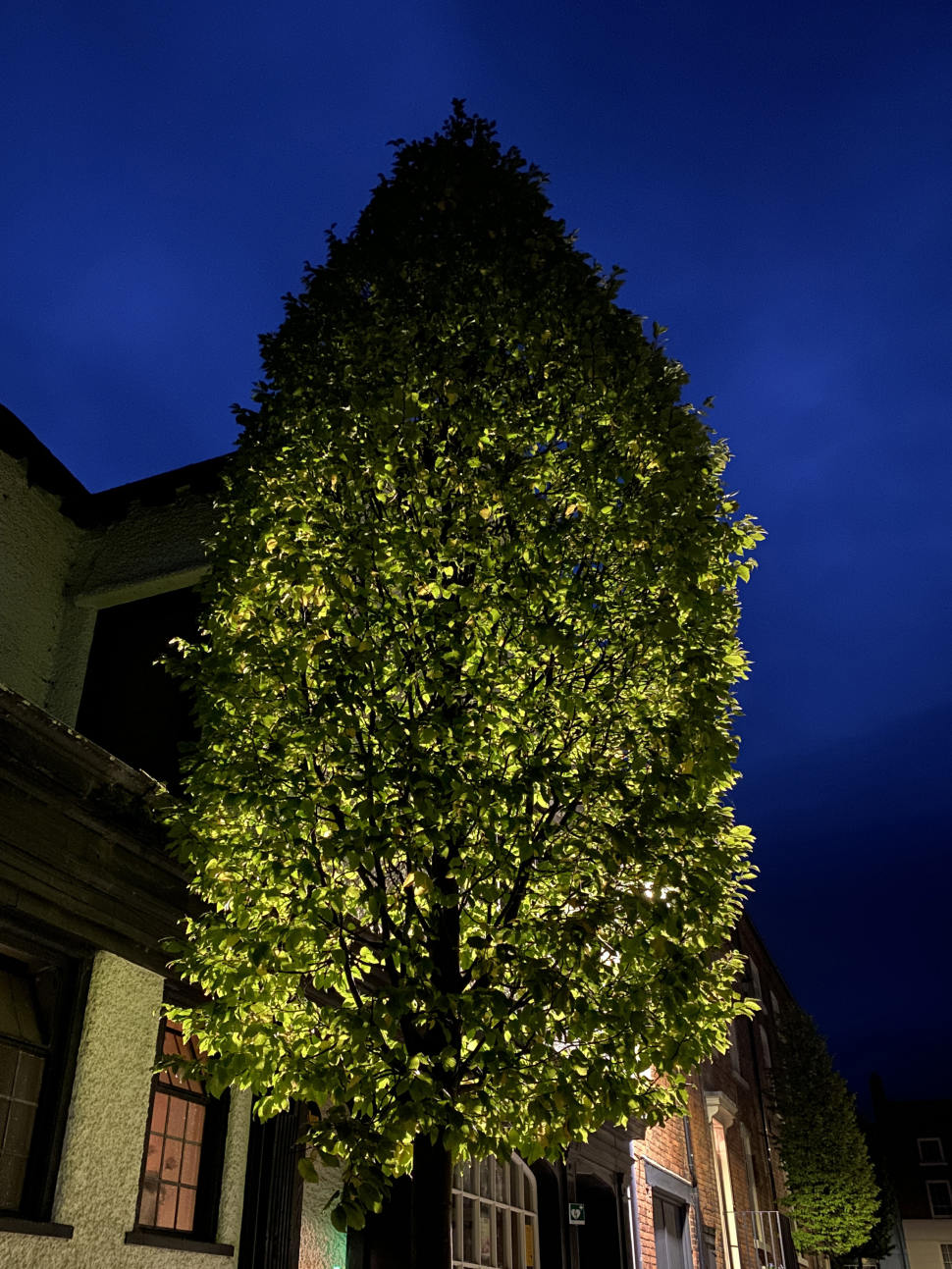 How to Take Great Night Sky Photos On iPhone