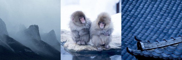 Digital Camera Mastery | Learn How To Use Your Digital Camera