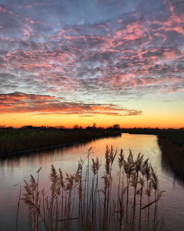 8 Tips For Golden Hour Landscape Photography On iPhone