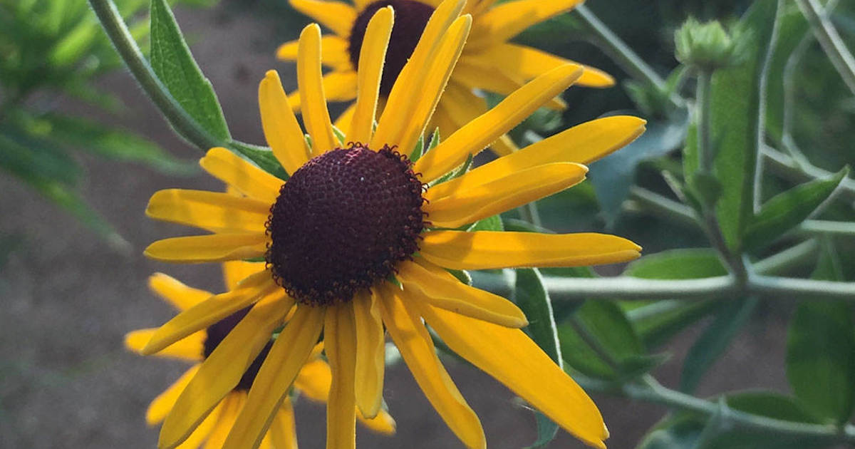 8 Ways To Capture Wonderful Serenity In Your iPhone Photos