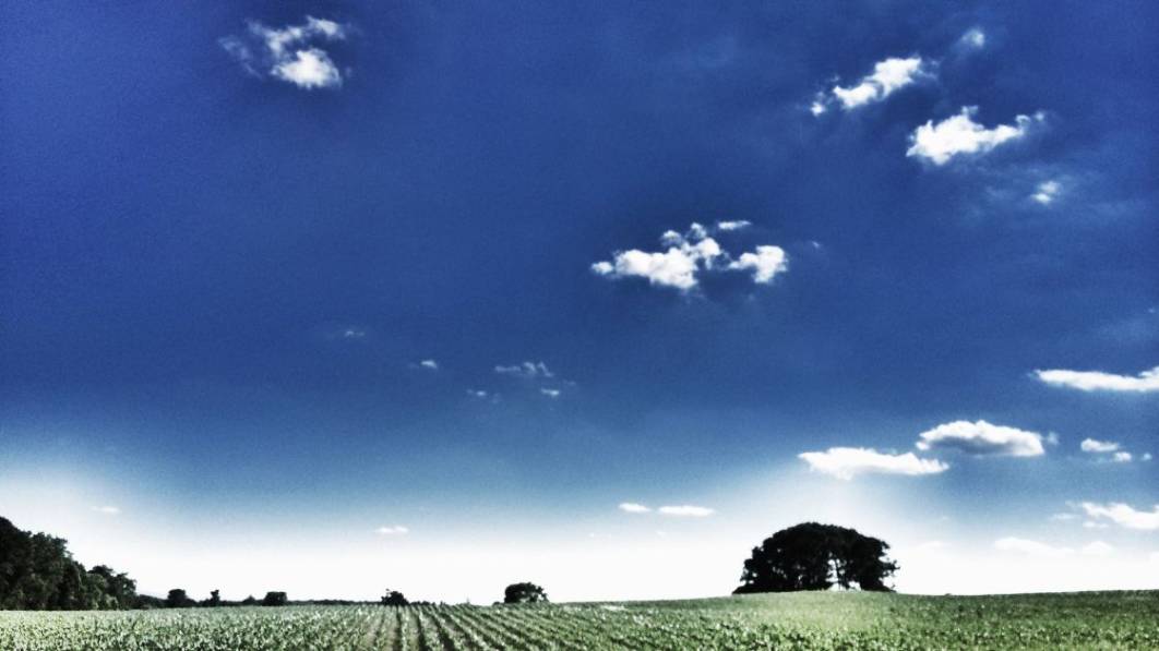 30 Incredible iPhone Photos That Show Vibrant Colors