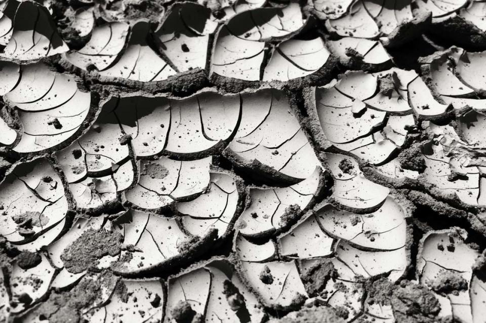 30 Amazing iPhone Photos That Show Texture