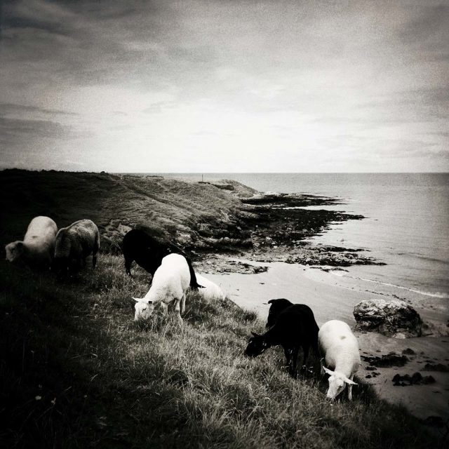 10 Tips For Taking Stunning iPhone Beach Photos