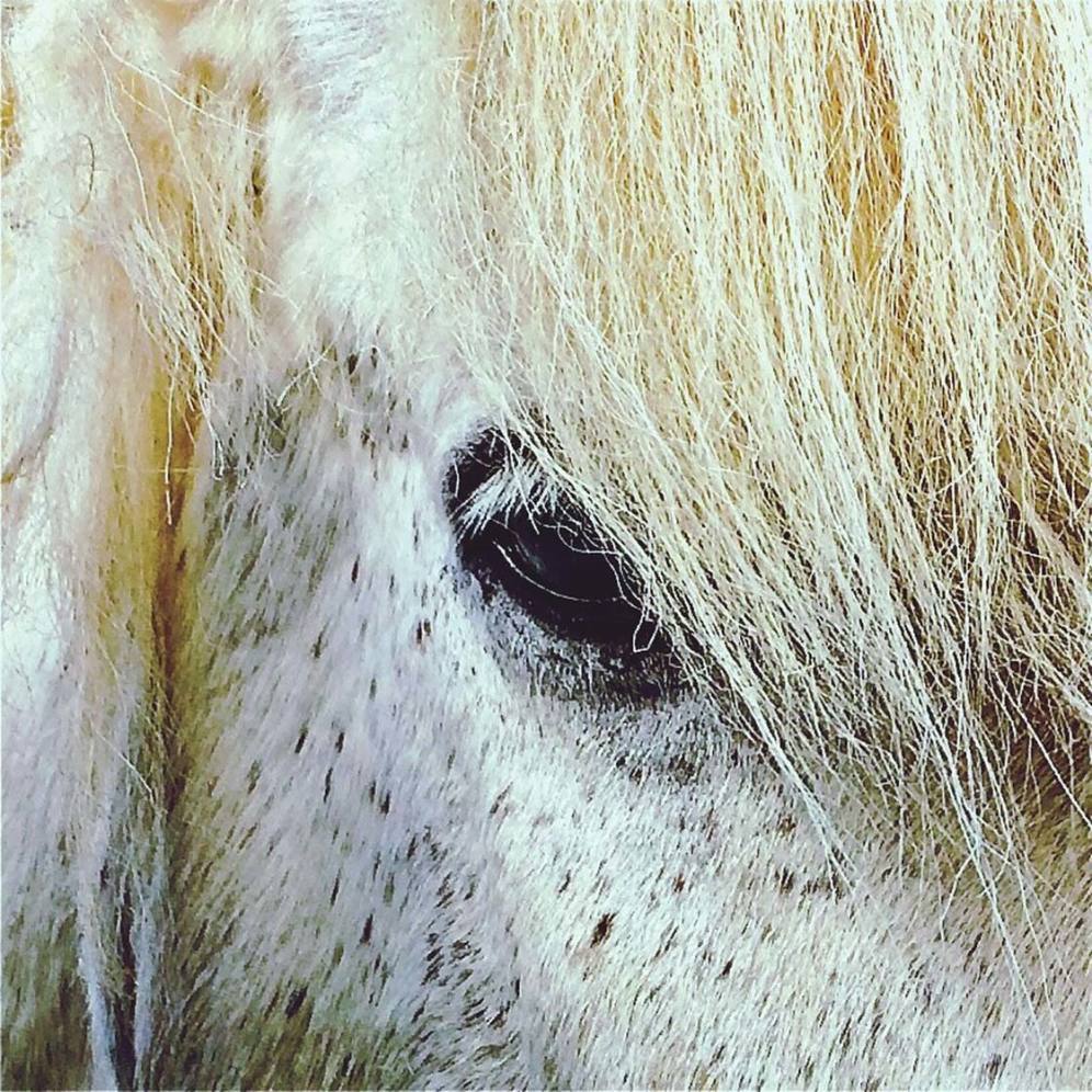 30 Amazing iPhone Photos That Show Texture