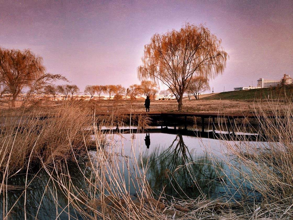 30 Amazing iPhone Photos That Show Texture