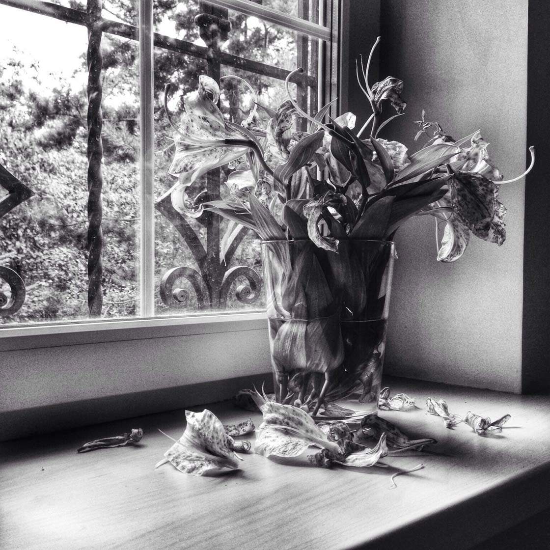 30 Incredible iPhone Photos That Use Great Composition