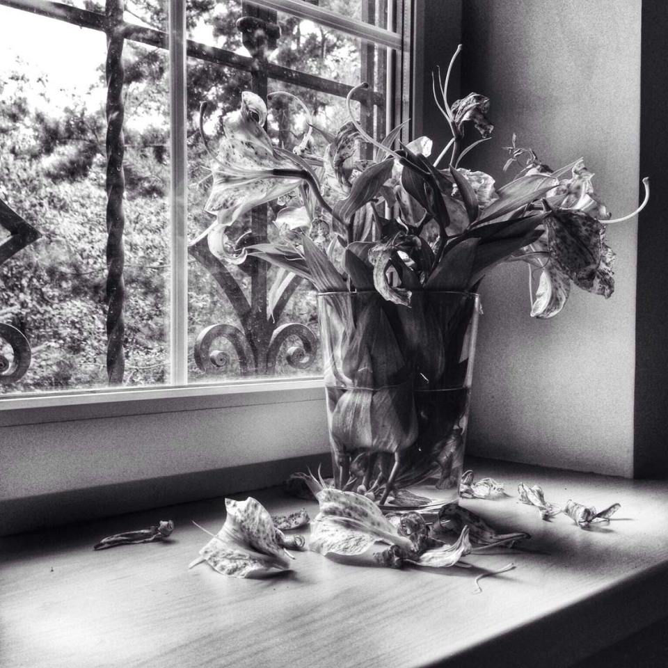 30 Incredible iPhone Photos That Use Great Composition