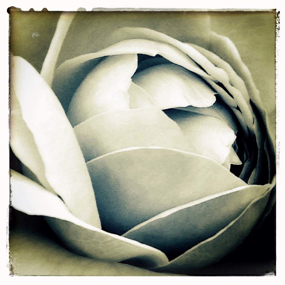 30 Incredible iPhone Photos That Use Great Composition