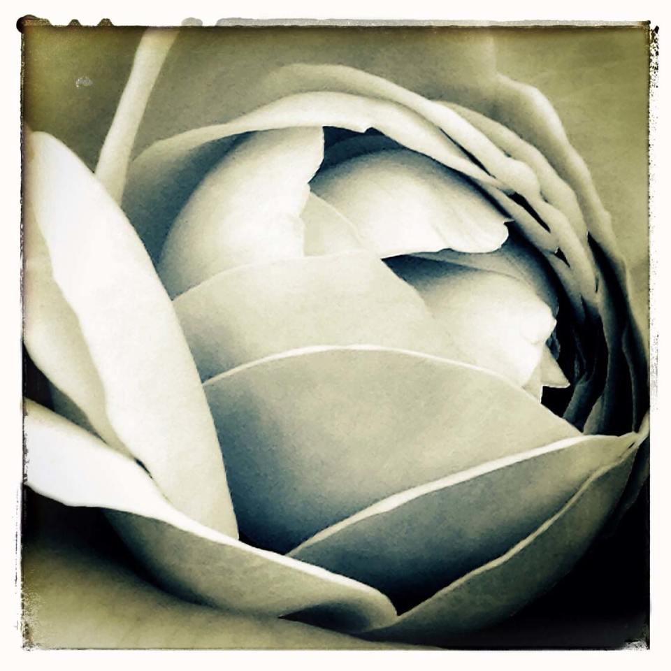 30 Incredible iPhone Photos That Use Great Composition