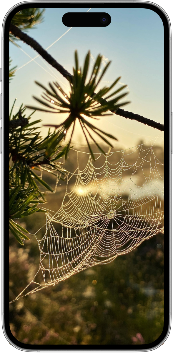 iPhone Editing Academy | Learn iPhone Photo Editing Apps