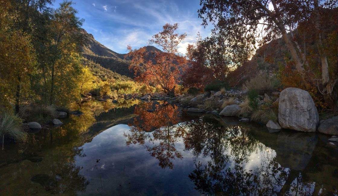 30 Amazing iPhone Photos With Excellent Exposure