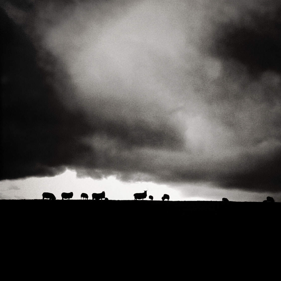 10 Tips For Creating Powerful Black & White iPhone Photos