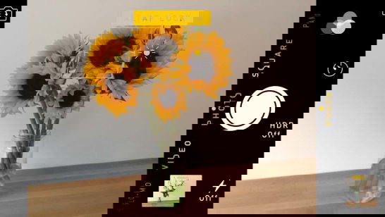 How To Use The New iPhone Camera & Photo Features In iOS 8