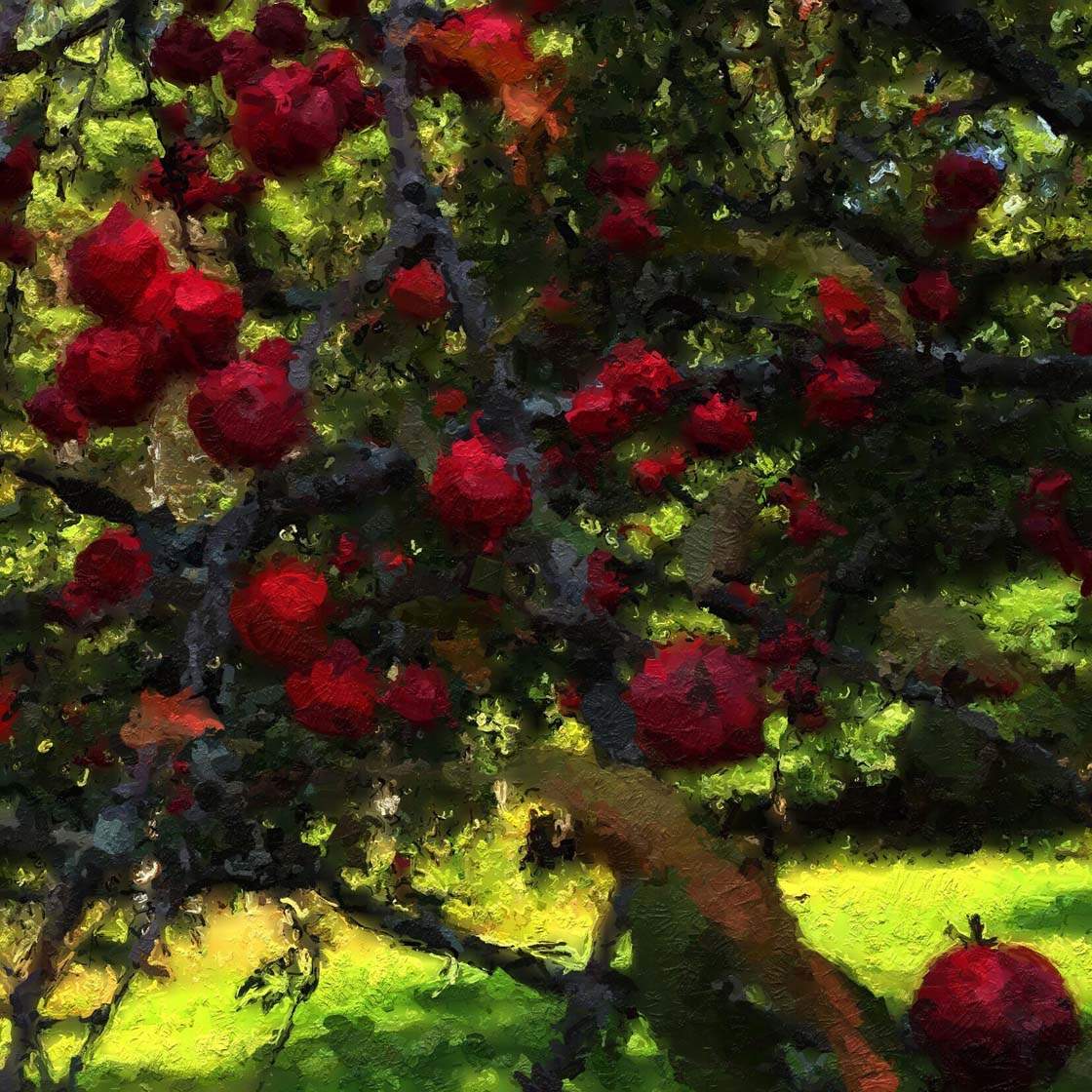 30 Amazing Abstract Photos Taken With The iPhone