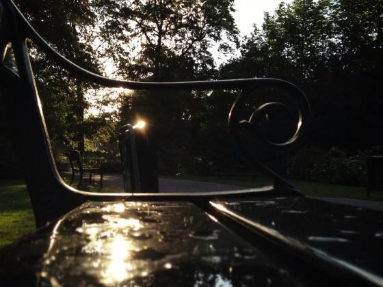 iPhone Photography Journal Of An Evening In A Park