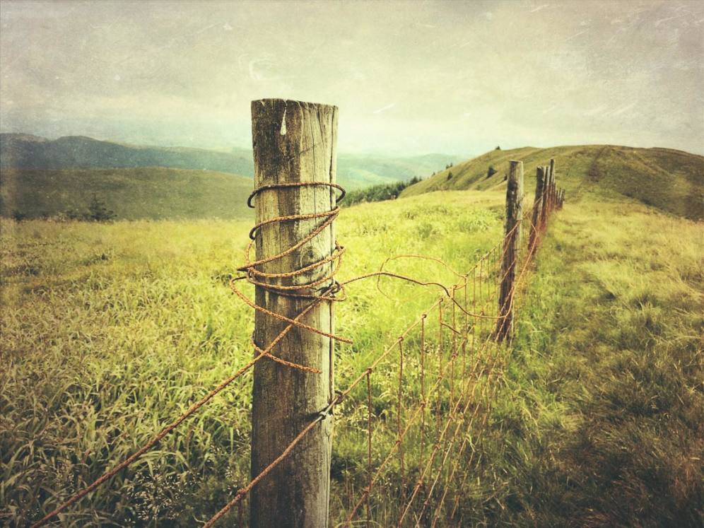 8 Tips For Breathtaking Landscape Photography On Your iPhone