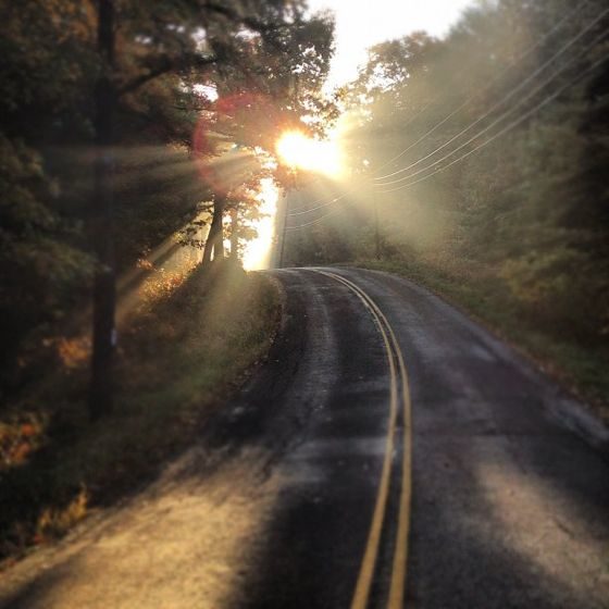 iPhone Photography Competition Winners IV