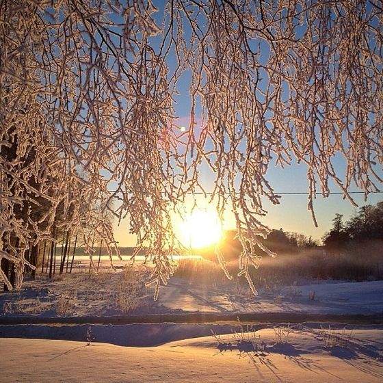 iPhone Photo Contest Winners I