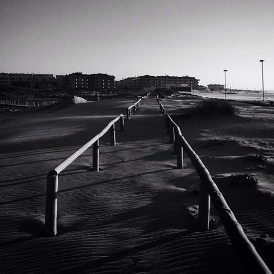 iPhone Photography Competition Winners IV