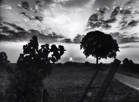 iPhone Photo Contest Winners I