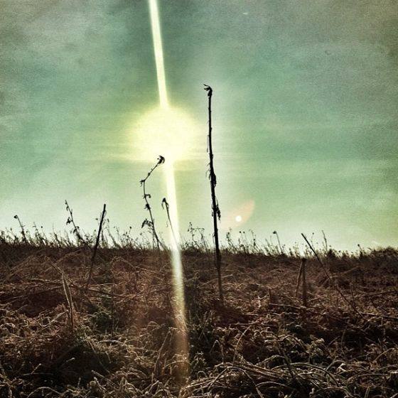 iPhone Photo Competition Winners II