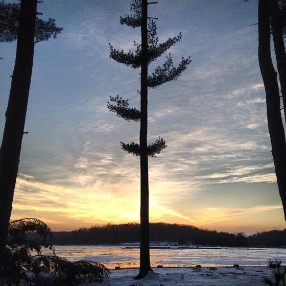 iPhone Photography Competition Winners IV