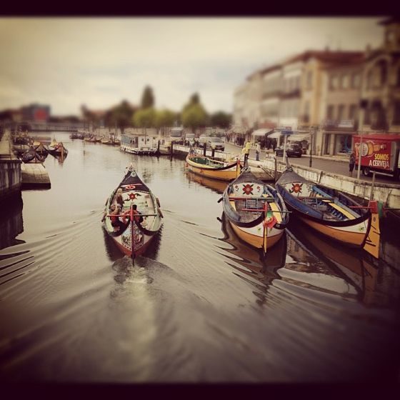 iPhone Photo Contest Winners V