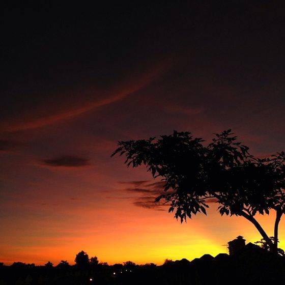 iPhone Photography Contest Winners III