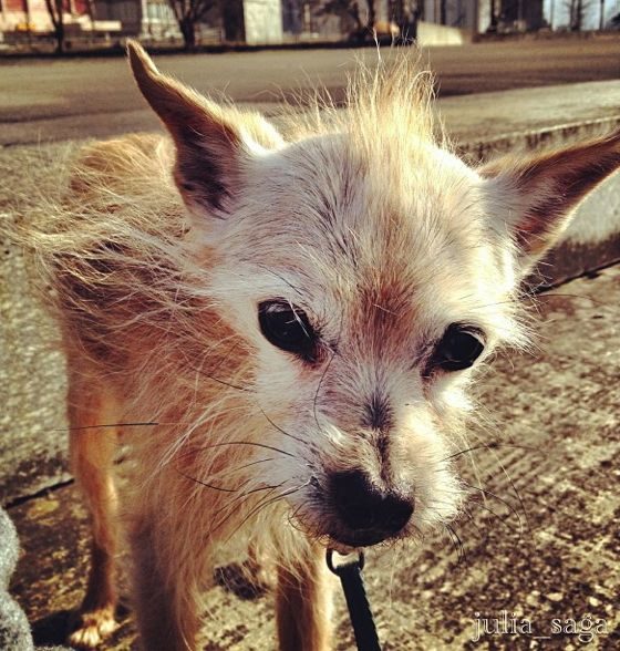 iPhone Photo Competition Winners VI