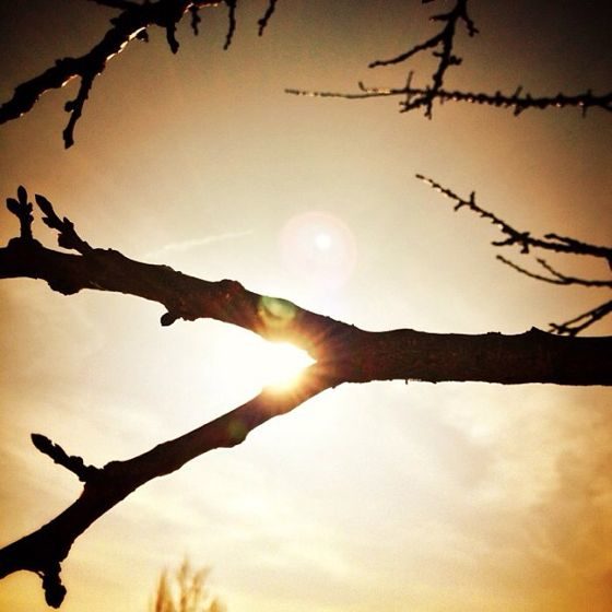 iPhone Photo Competition Winners VI