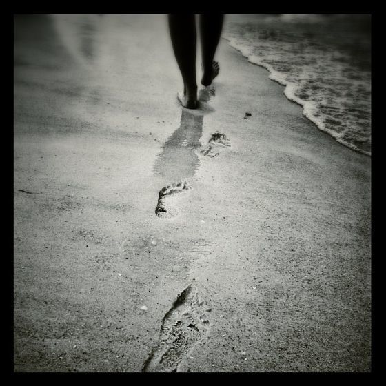 iPhone Photo Competition Winners VI